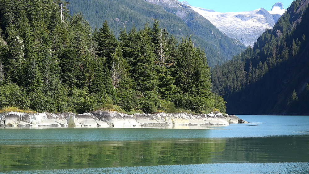 Thomas Bay and the Glaciers