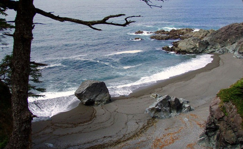 10 Must-Do Activities in Tofino, BC