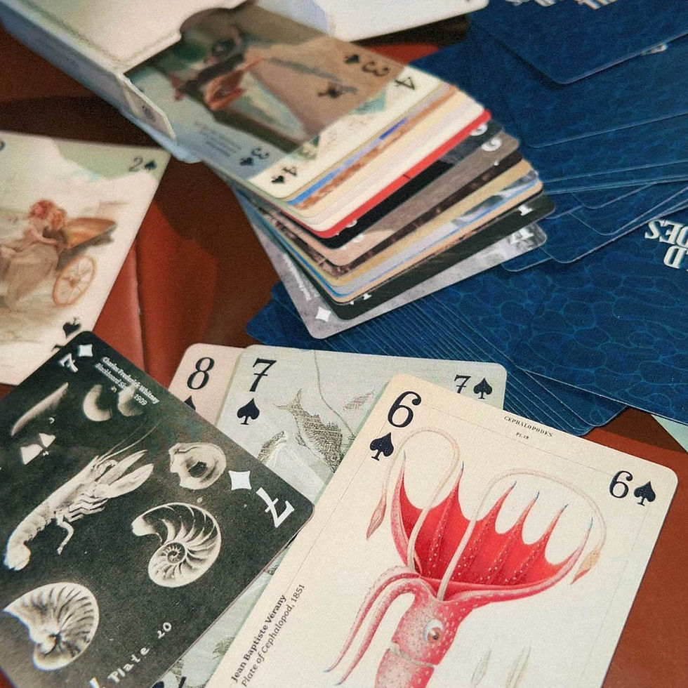 playing cards | arynlei