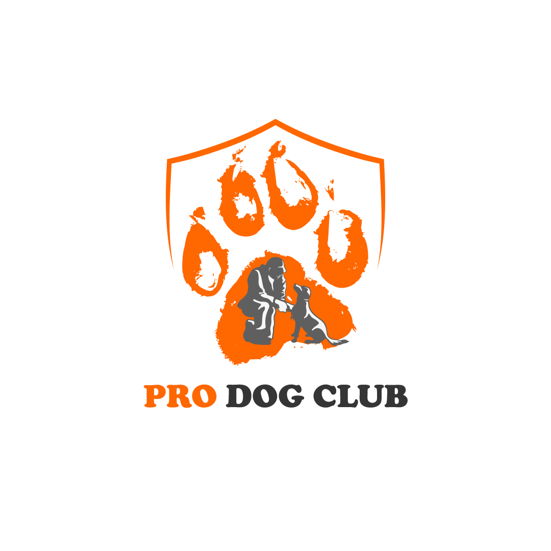 İstanbul Köpek Eğitimi ve Köpek Oteli | Pro Dog Club
