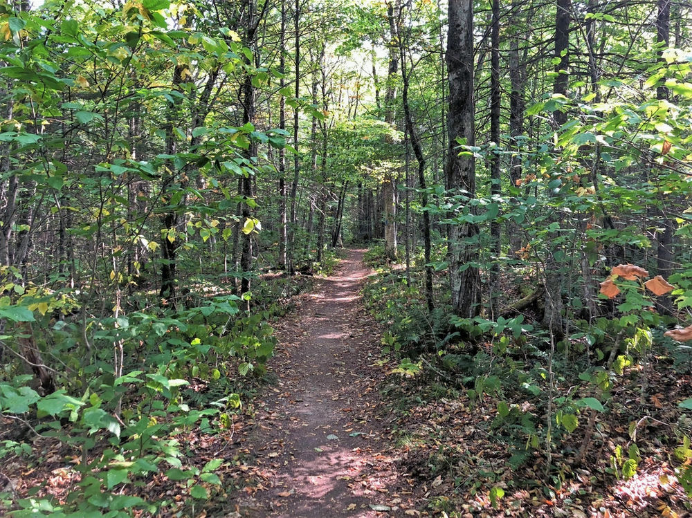 Hike Mt Eisenhower and Mt Pierce via Edmands and Crawford Path Loop ...