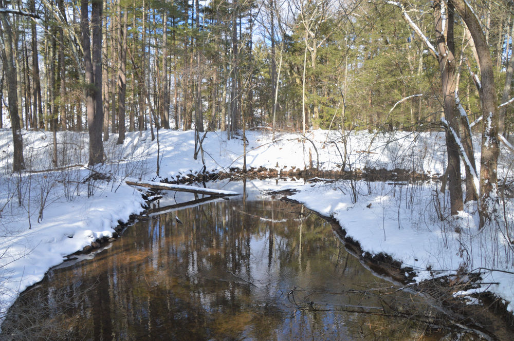 Walking Through Mine Falls Park, NH: Winter 2021