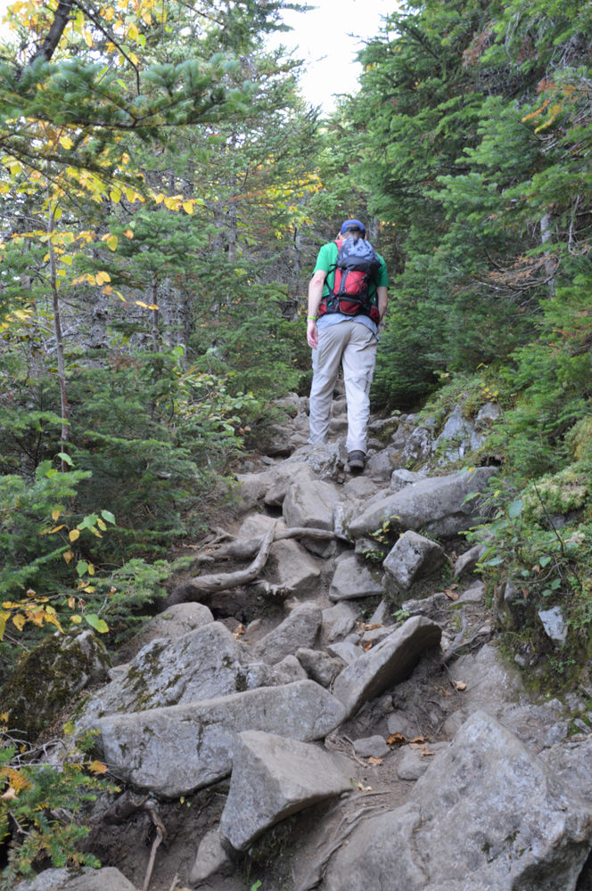 Hike Mt Eisenhower and Mt Pierce via Edmands and Crawford Path Loop ...