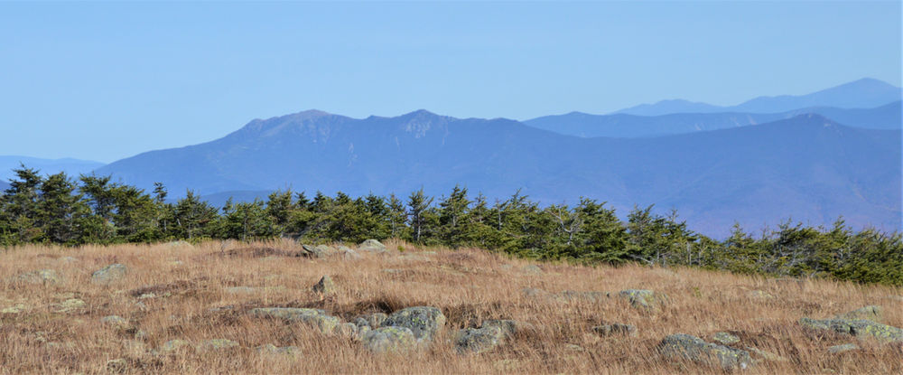 Hike Mt Moosilauke: Oct 2020