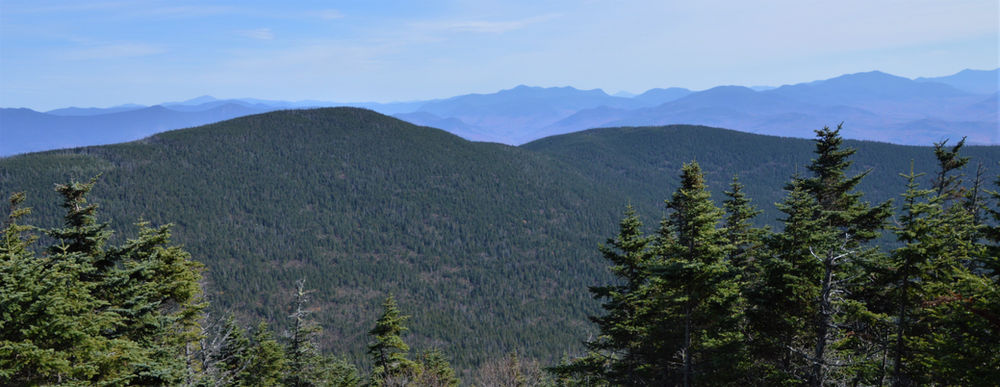 Hike Mt Moosilauke: Oct 2020