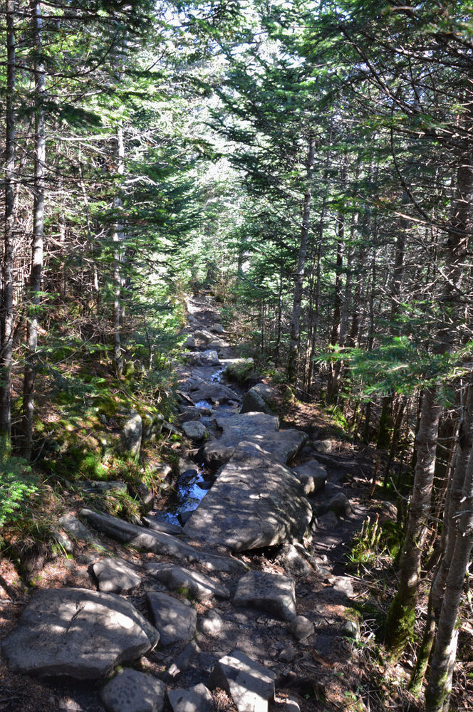 Hike Mt Moosilauke: Oct 2020