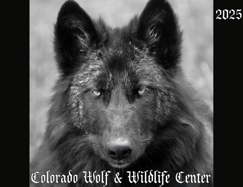 2025 Calendar | CWWC