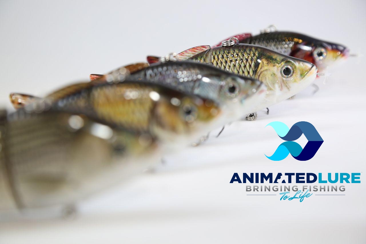 jonyjuna - Young Talented Pioneers LLC is raising funds for Animated ...