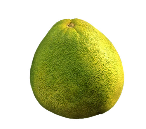Mato Buntan essential oil (Citrus maxima) | EssentialCitrus