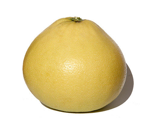 Hirado Buntan essential oil (Citrus maxima) | EssentialCitrus