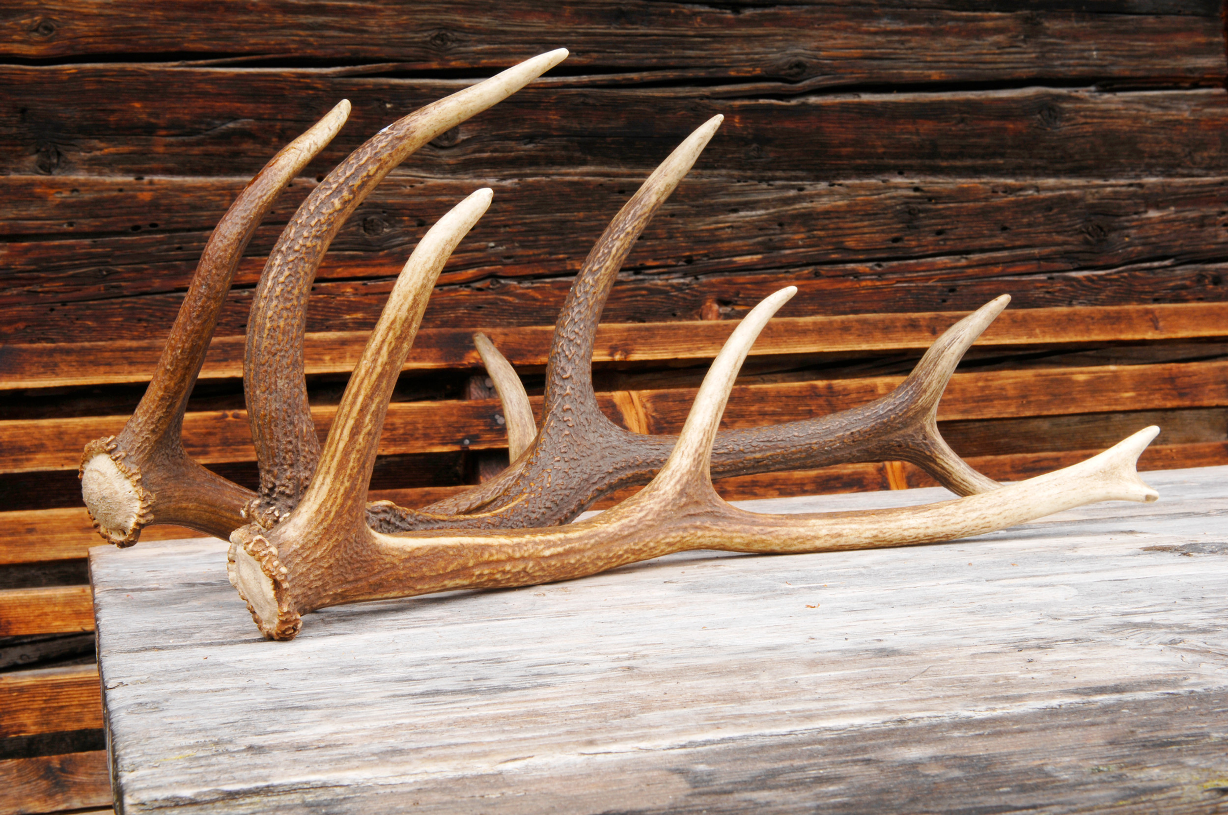 Early Hunters | Highlands | Discover Assynt