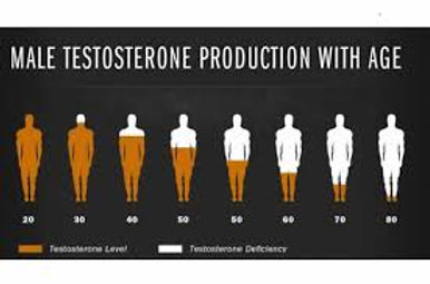 Testosterone is What Makes a Man, a Man!