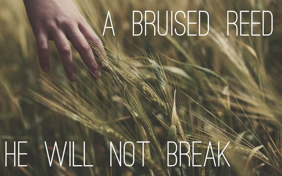 A Bruised Reed He Will Not Break - Timothy Keller Sermons