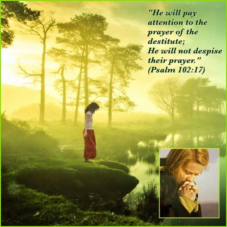 God s Holy Words Psalm 102 god-s-holy-words-psalm-102
