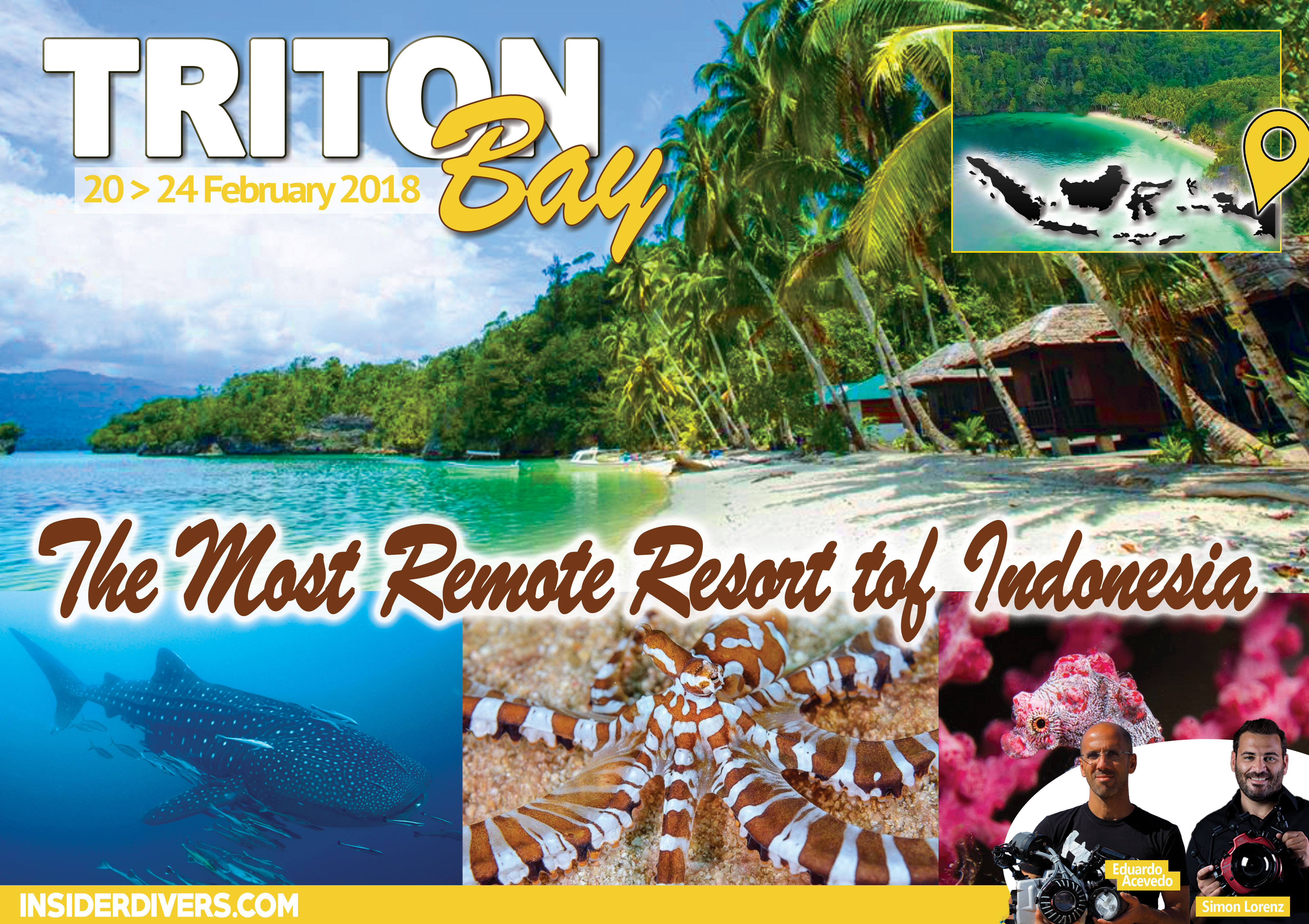 YEARLY DIVE CALENDAR | Insider Divers