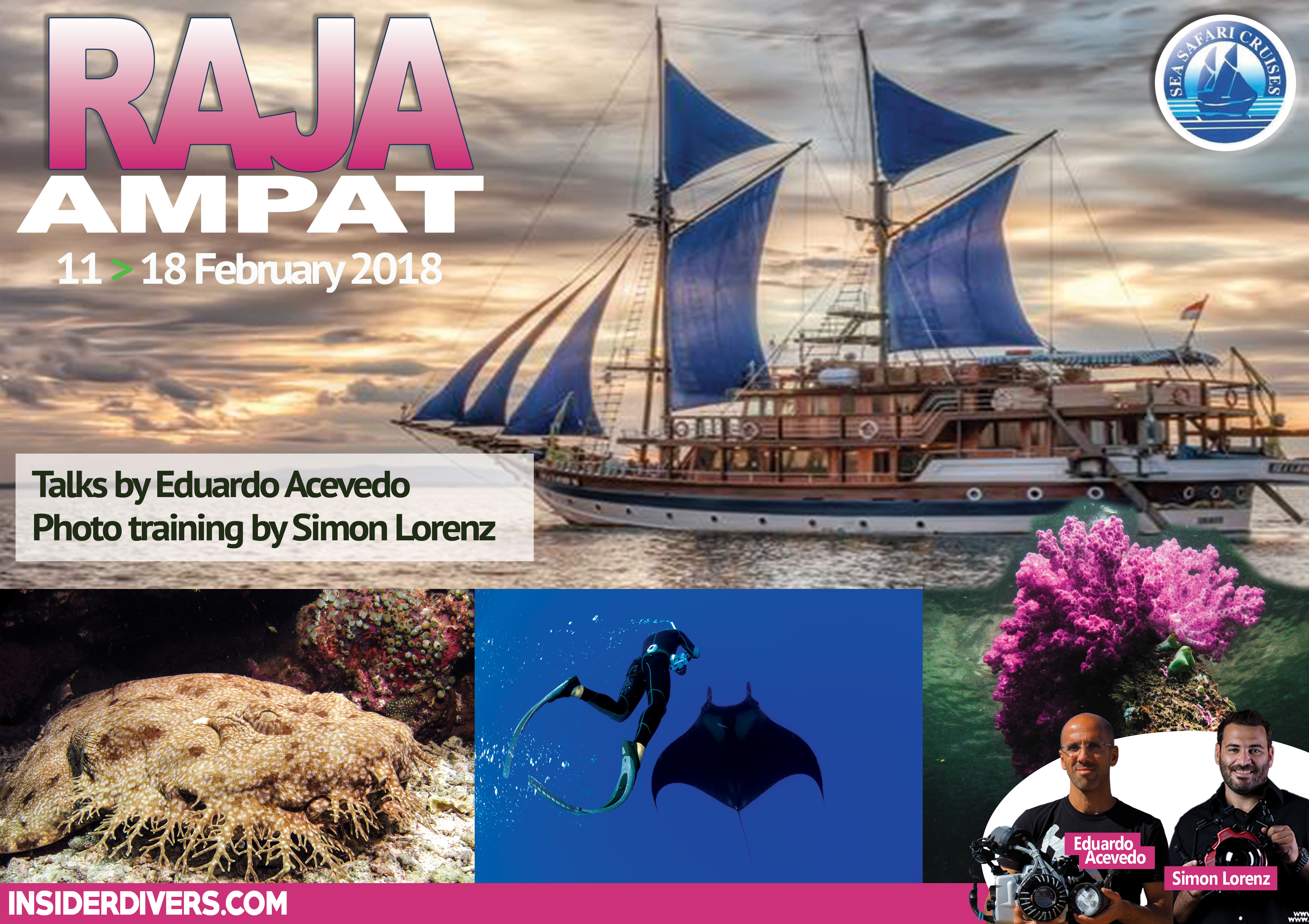 YEARLY DIVE CALENDAR | Insider Divers