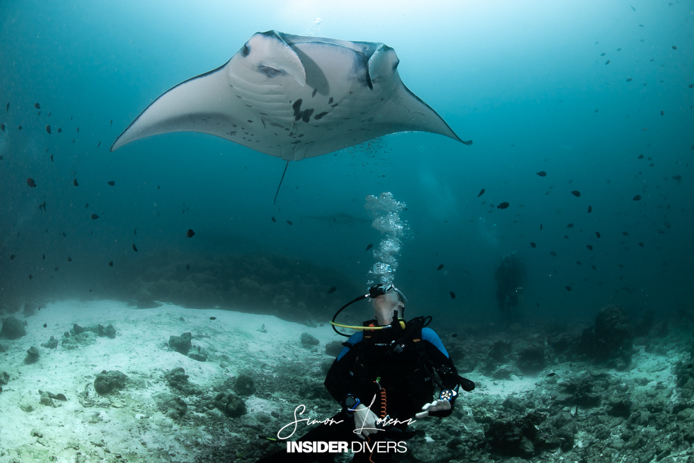 Maldives 2022 with Girls That Scuba and Insider Divers