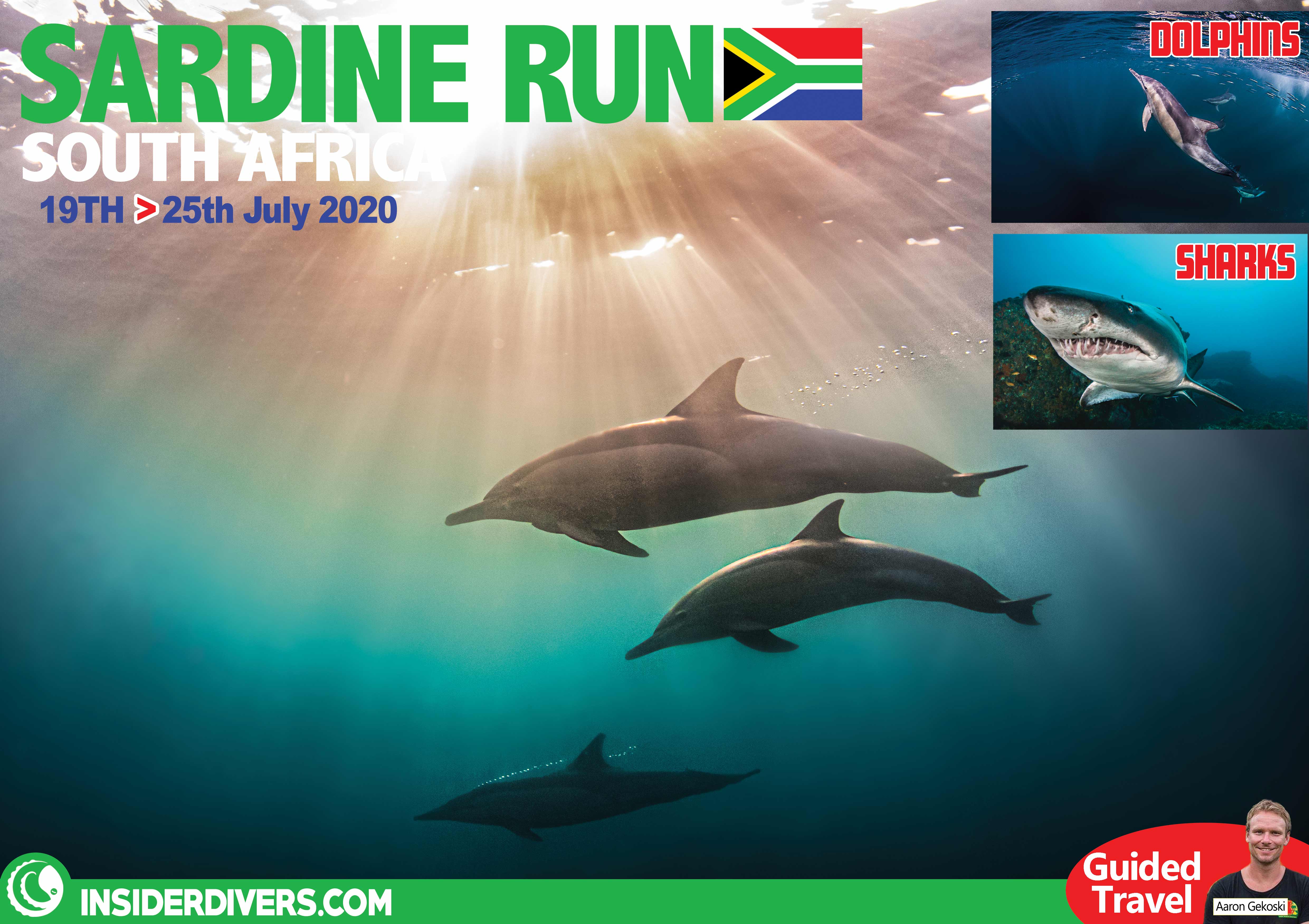 YEARLY DIVE CALENDAR | Insider Divers