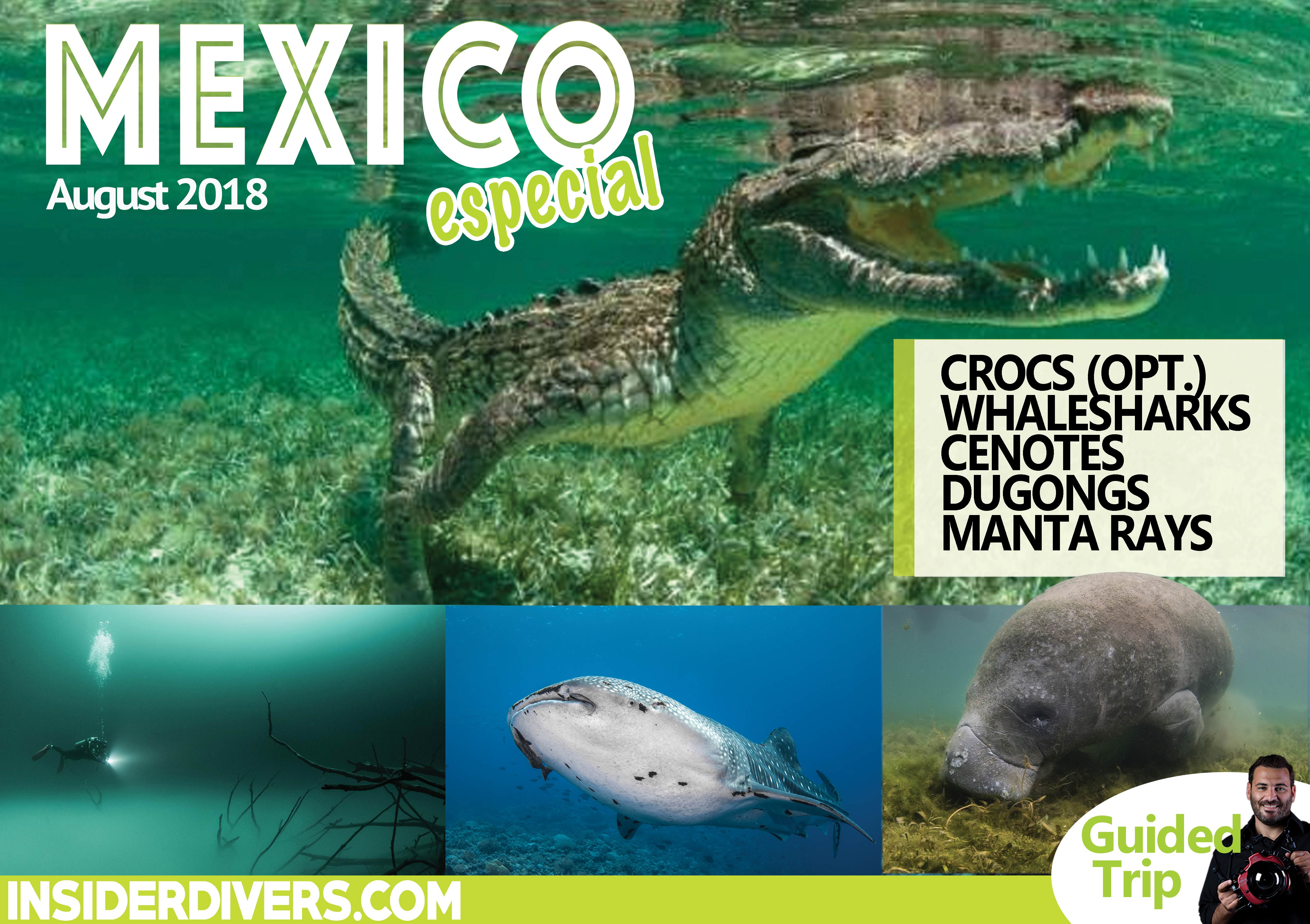 YEARLY DIVE CALENDAR | Insider Divers