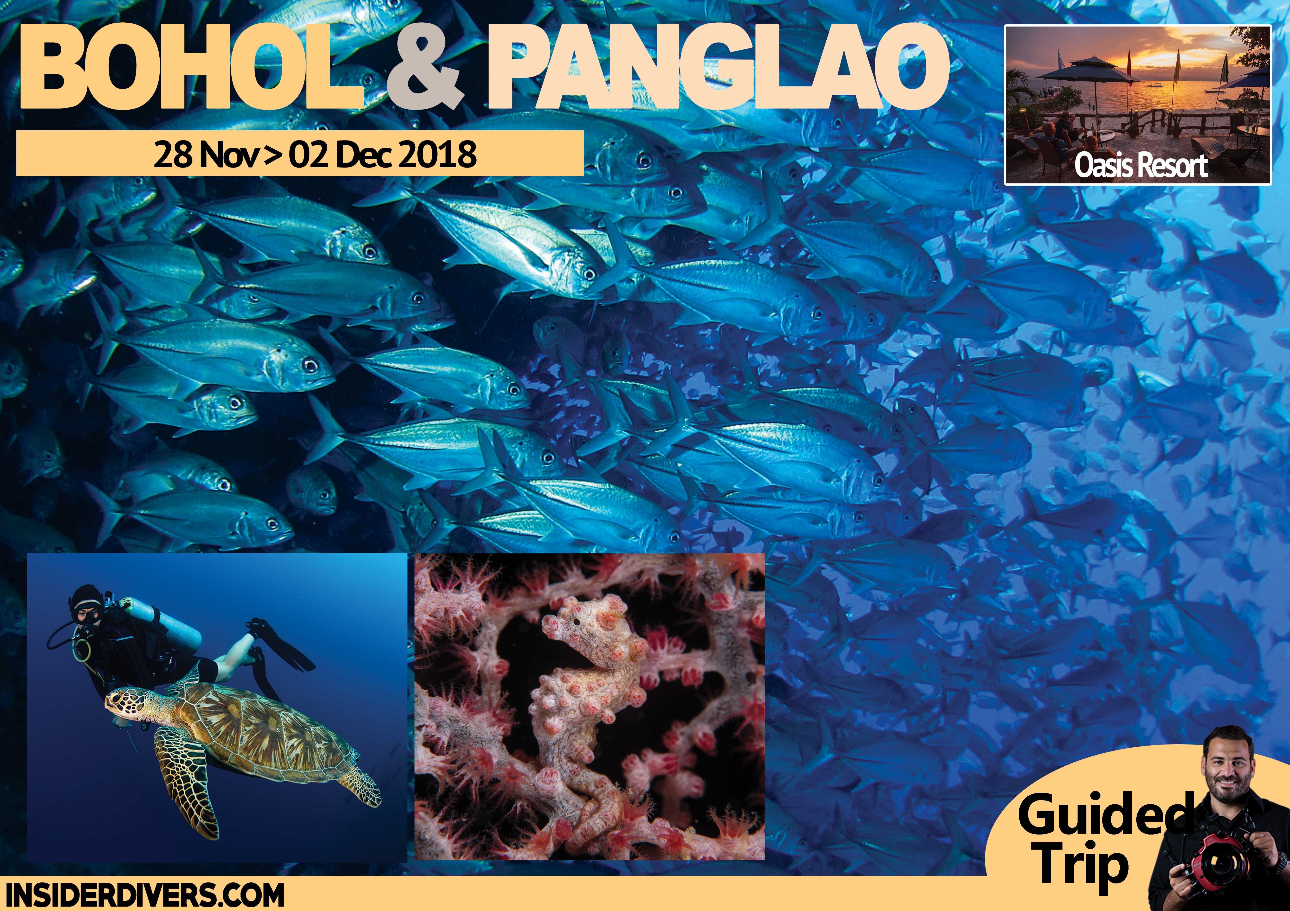 YEARLY DIVE CALENDAR | Insider Divers