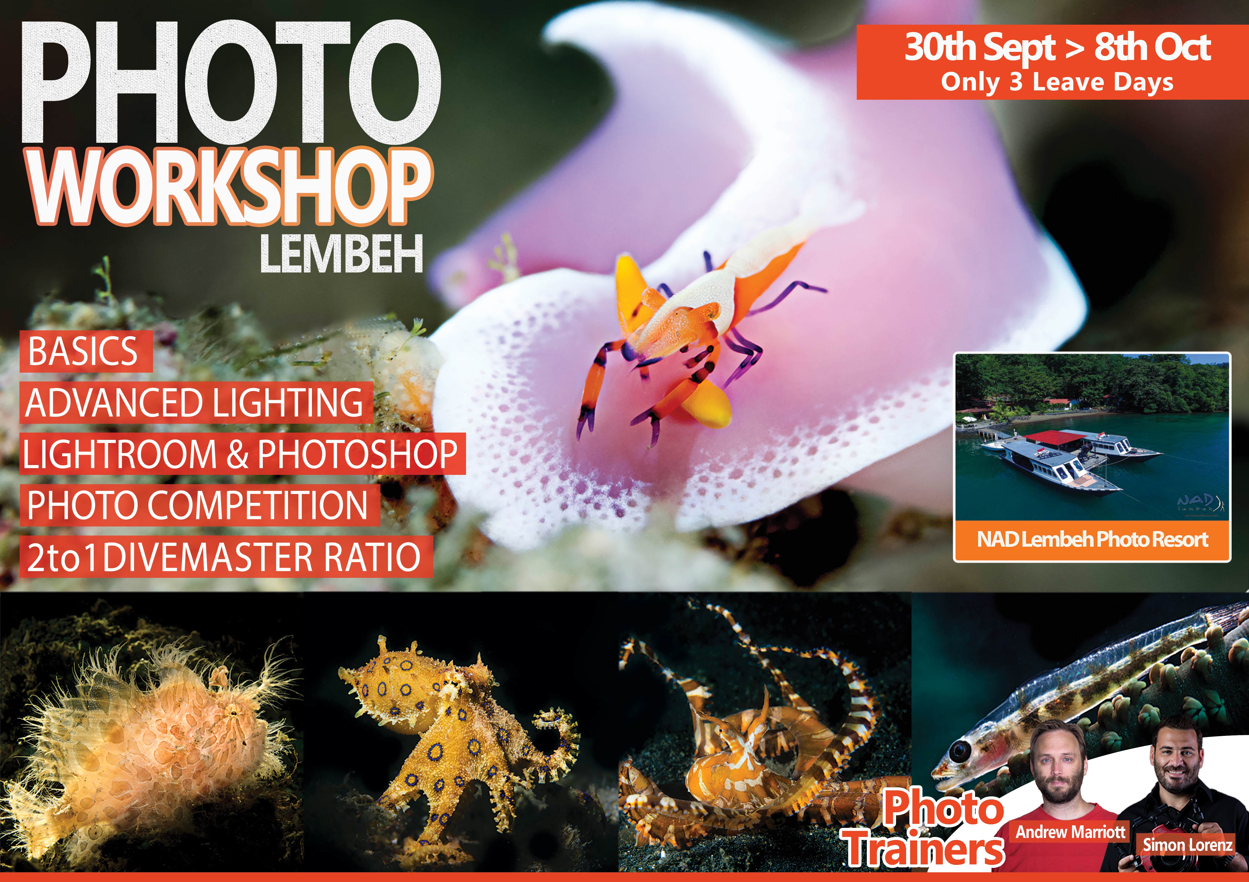 YEARLY DIVE CALENDAR | Insider Divers