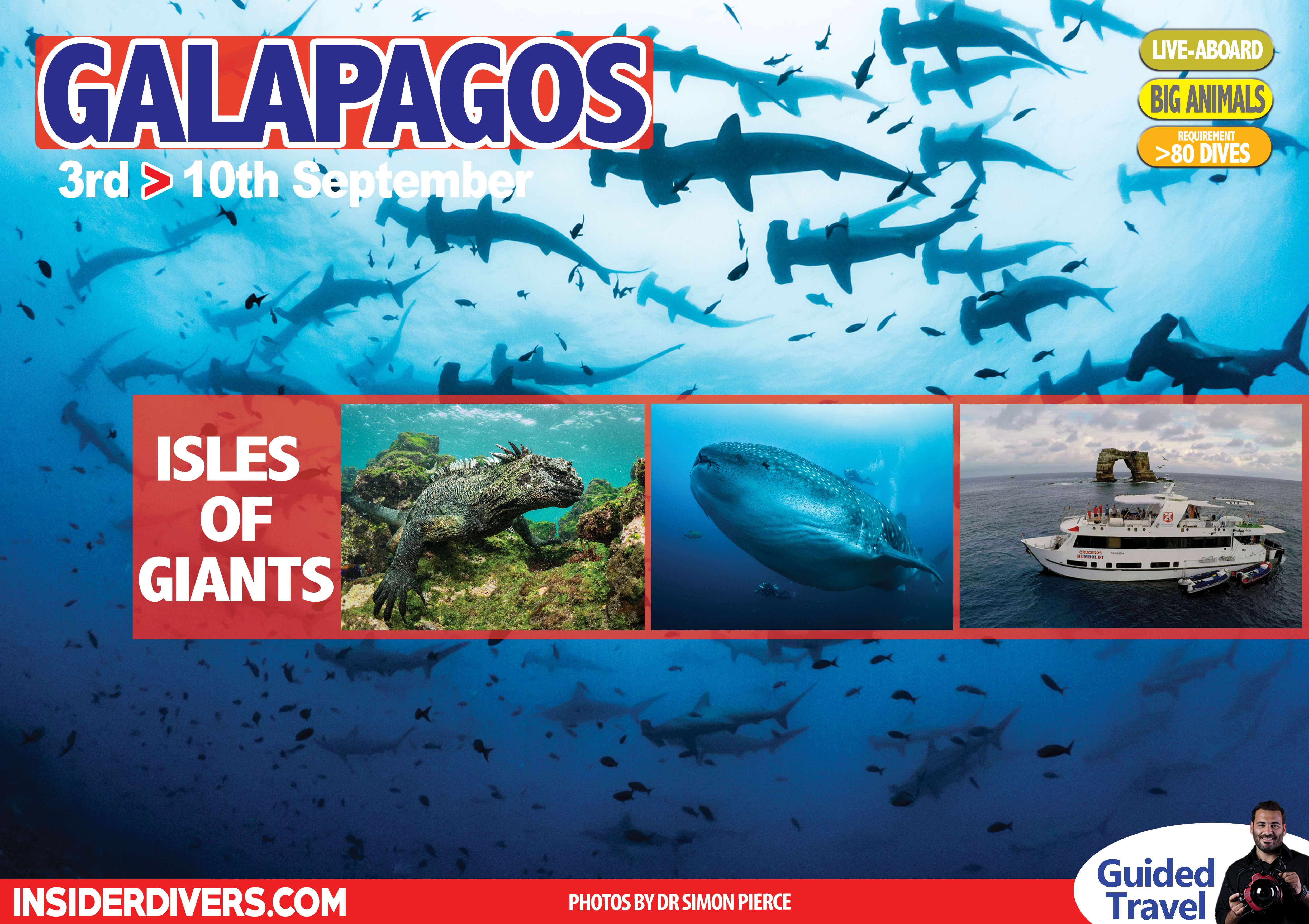 YEARLY DIVE CALENDAR | Insider Divers