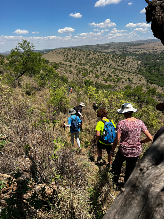 Hiking | Forestiva