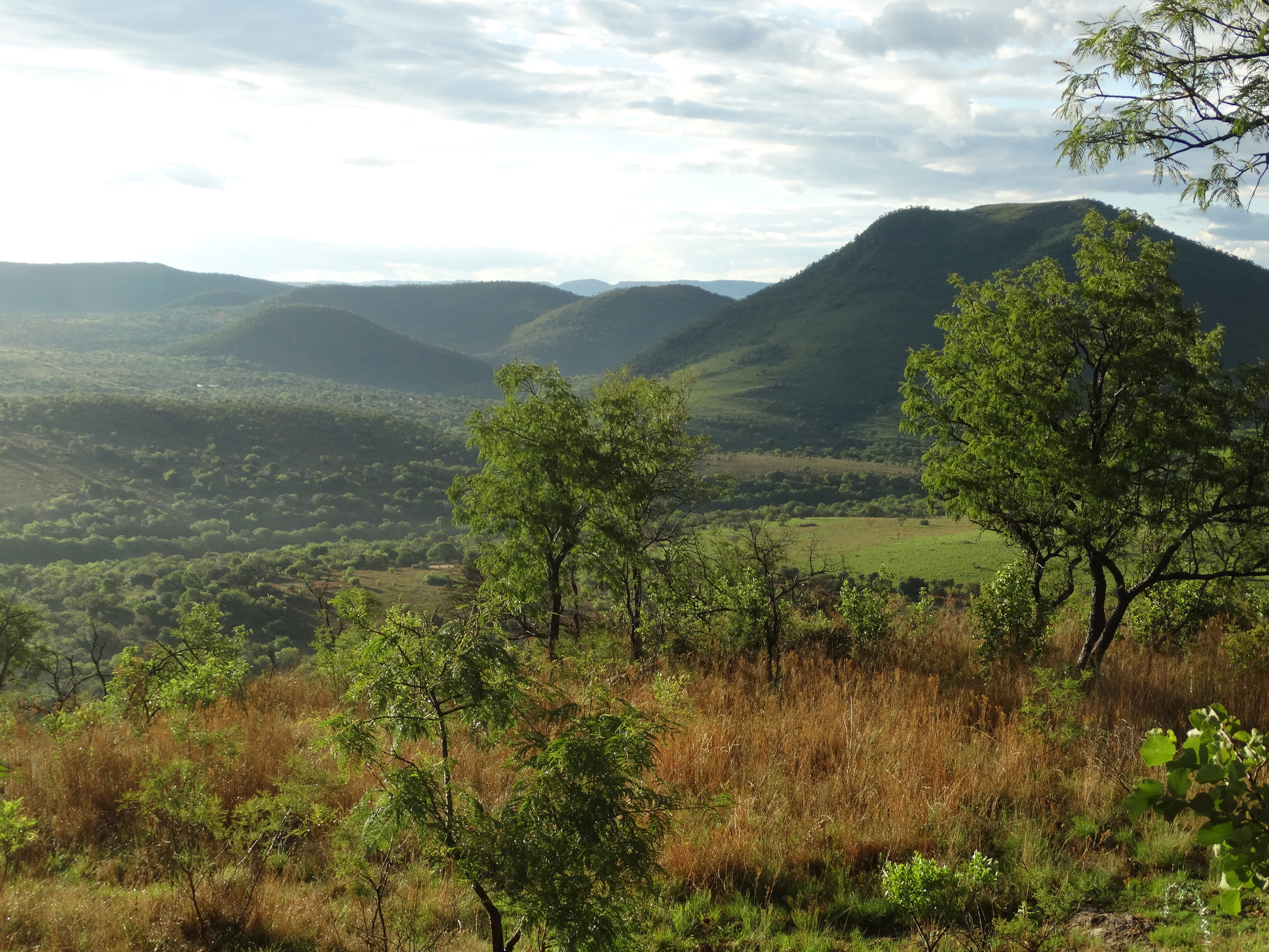 Forestiva Farm | 111 Lazy River Road, Pretoria Rural, Centurion, South ...