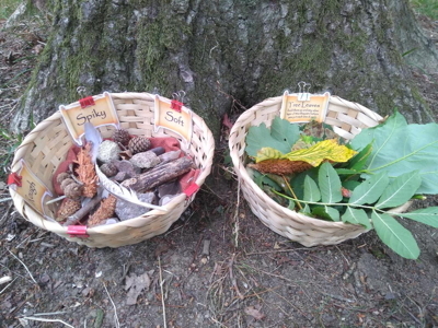 Teaching Trees in Rockingham Forest