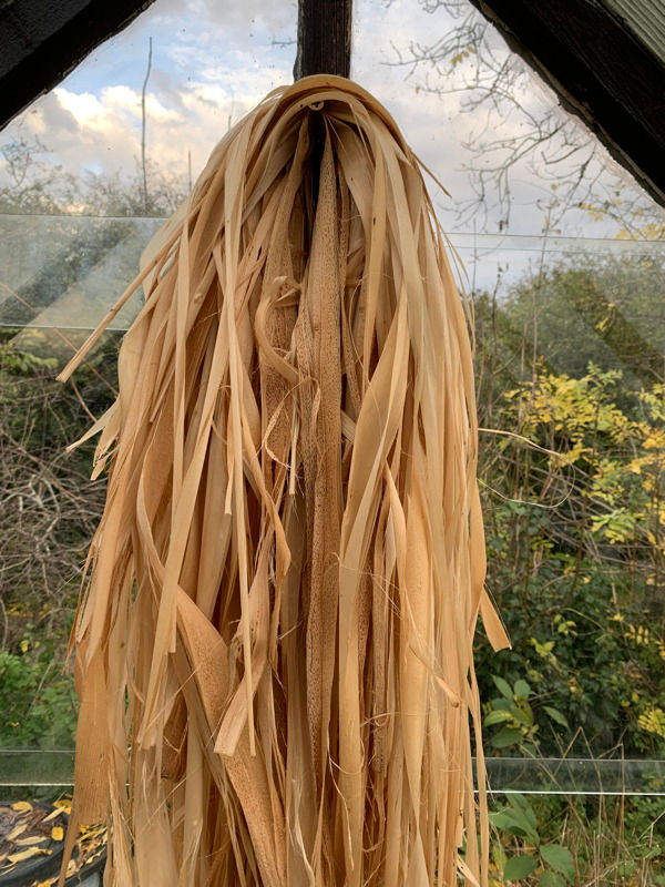 Making rope from trees