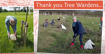 Tree Wardens | RF Vision