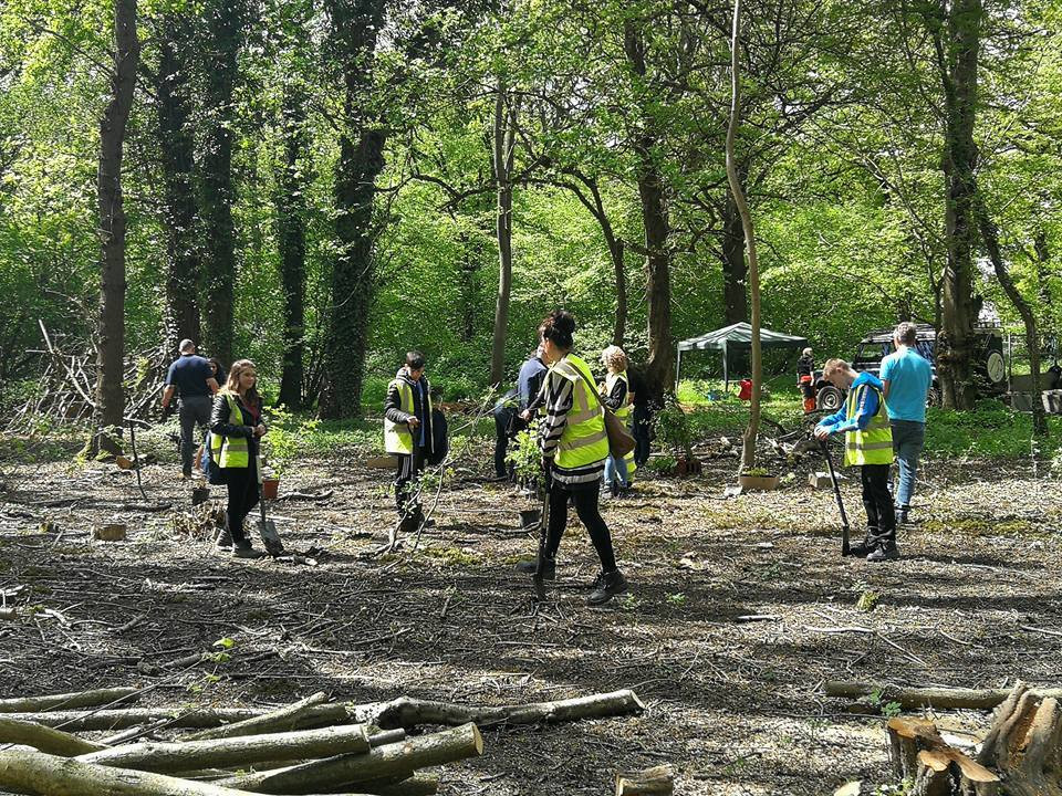 Corby Woodlands Project | RF Vision