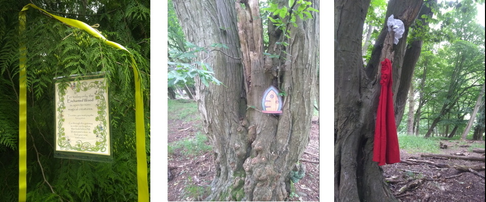 Teaching Trees in Rockingham Forest