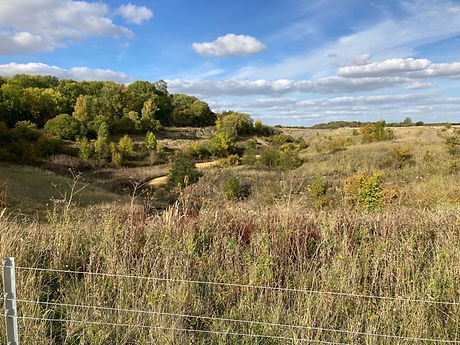 Quarried landscapes of Rockingham Forest