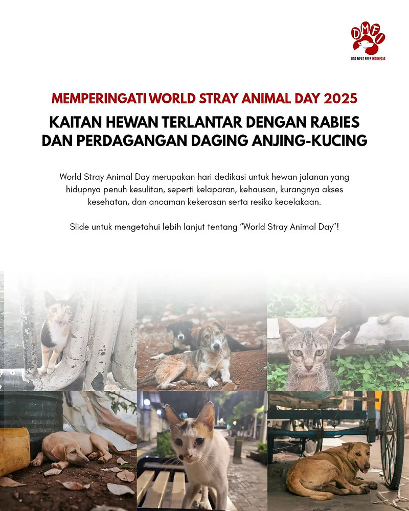 WORLD STRAY ANIMAL DAY 2025: Kaitan hewan terlantar dengan rabies dan ...