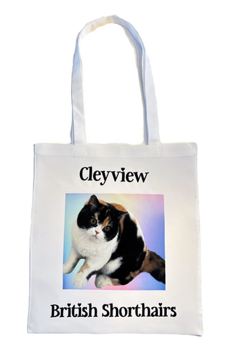 Custom Prints | Revodna British Cats