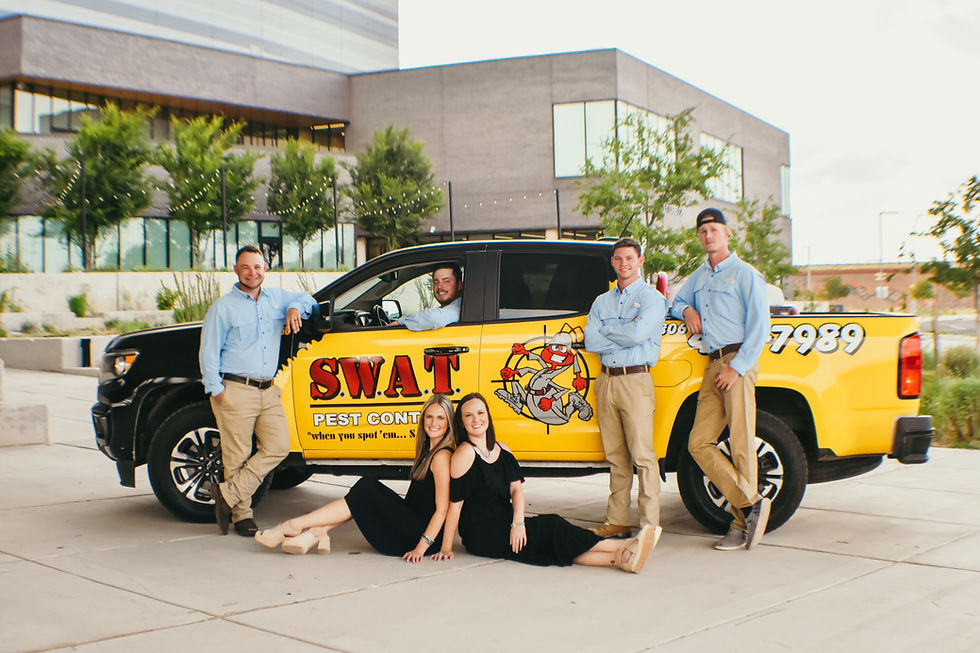 SWAT Pest Control