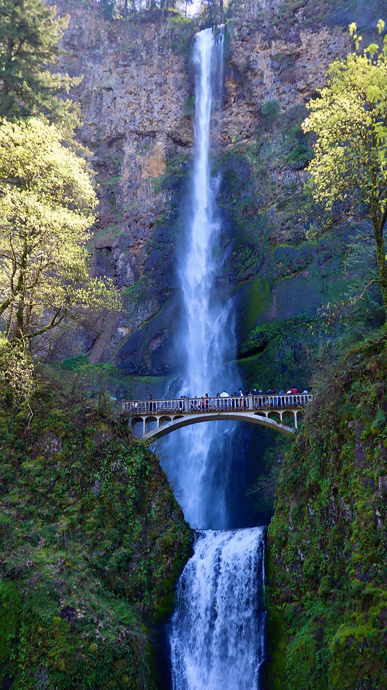 Always Flowing - Never Failing