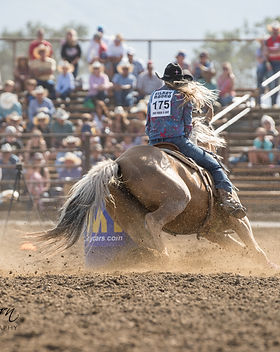 Contestants | Gilroy Rodeo