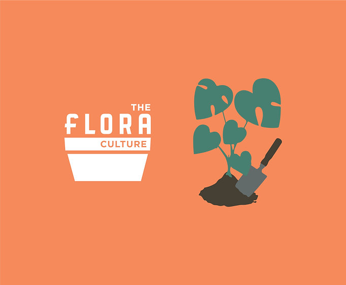 Home Interior Plant Design Services | The Flora Culture