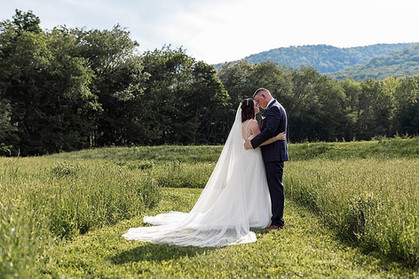 Gallery | Bloommeadows