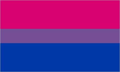 Bisexual Pride Hand Flag | Full Spectrum