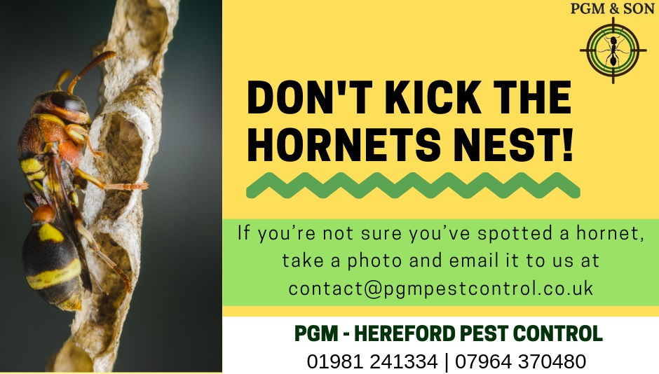DON’T KICK THE HORNETS’ NEST!
