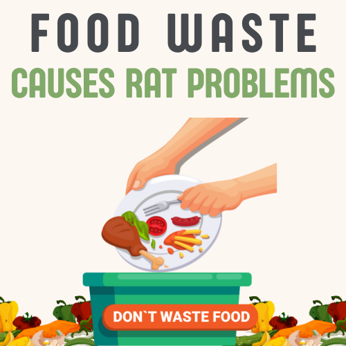Reducing Food Waste to Keep Pests at Bay: How Sustainable Food ...