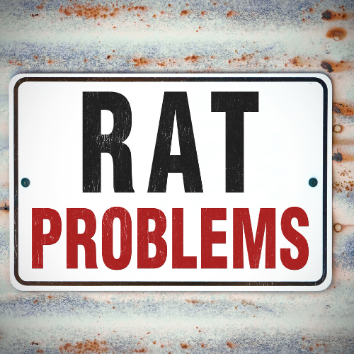 Reducing Food Waste to Keep Pests at Bay: How sustainable food ...