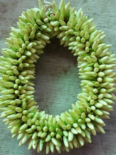 Mullai Thick Hair Dressing. | Sai Flowers Of Ohio