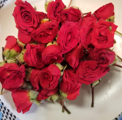 Red Button Roses | Sai Flowers Of Ohio