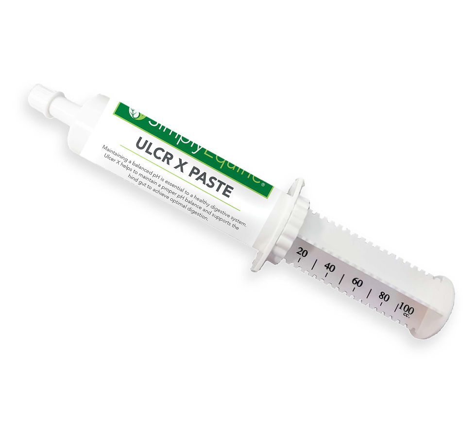 Ulcr X Paste | Simply Equine