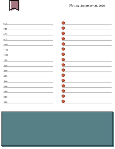 Daily Schedule- Pink | MVP