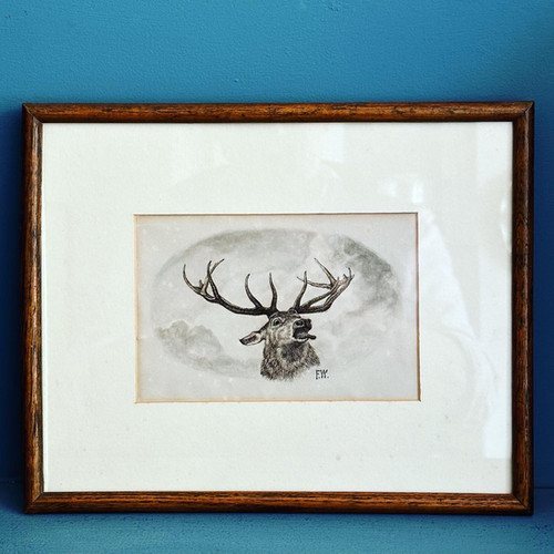 A Victorian Pen and Ink Drawing of a Royal Stag | Woodnutt Antiques